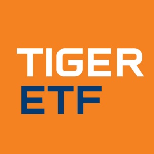 TIGER 차이나반도체FACTSET | TheRich.io