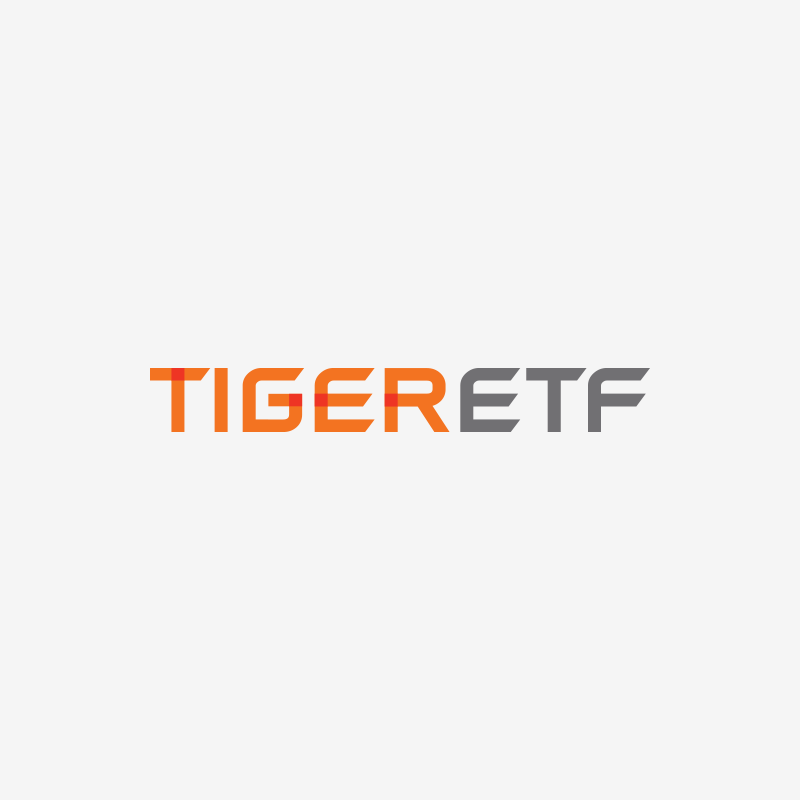 TIGER 미국S&P500 | TheRich.io